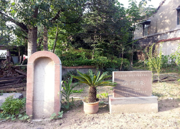 The Legend of Bian Que - Past Medical History